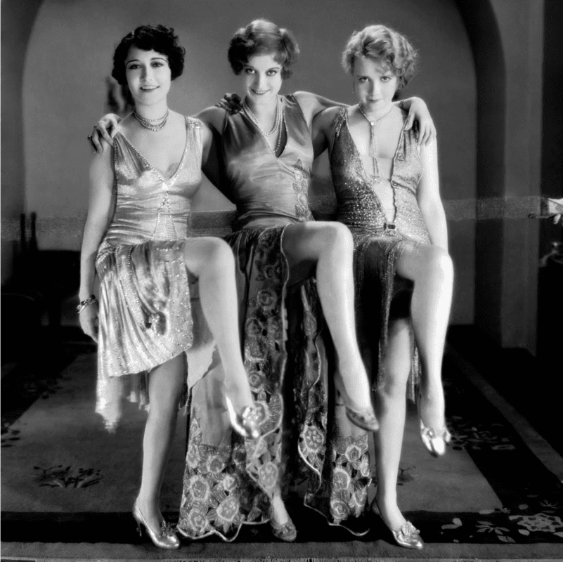 1920s politics facts